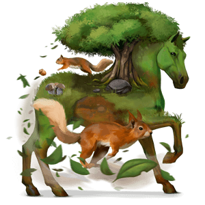 Forest | Howrse Wiki | Fandom
