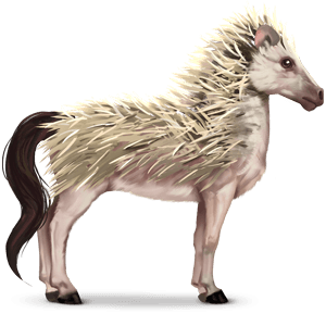 Hedgehog | Howrse Wiki | Fandom
