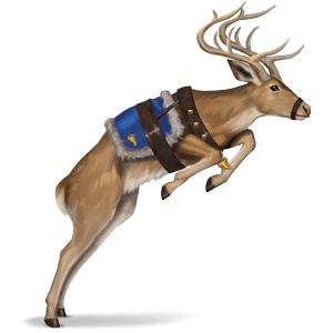 Dasher | Howrse Wiki | Fandom