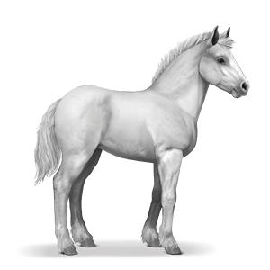 Shire | Howrse Wiki | Fandom