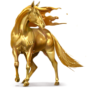 Gold | Howrse Wiki | Fandom