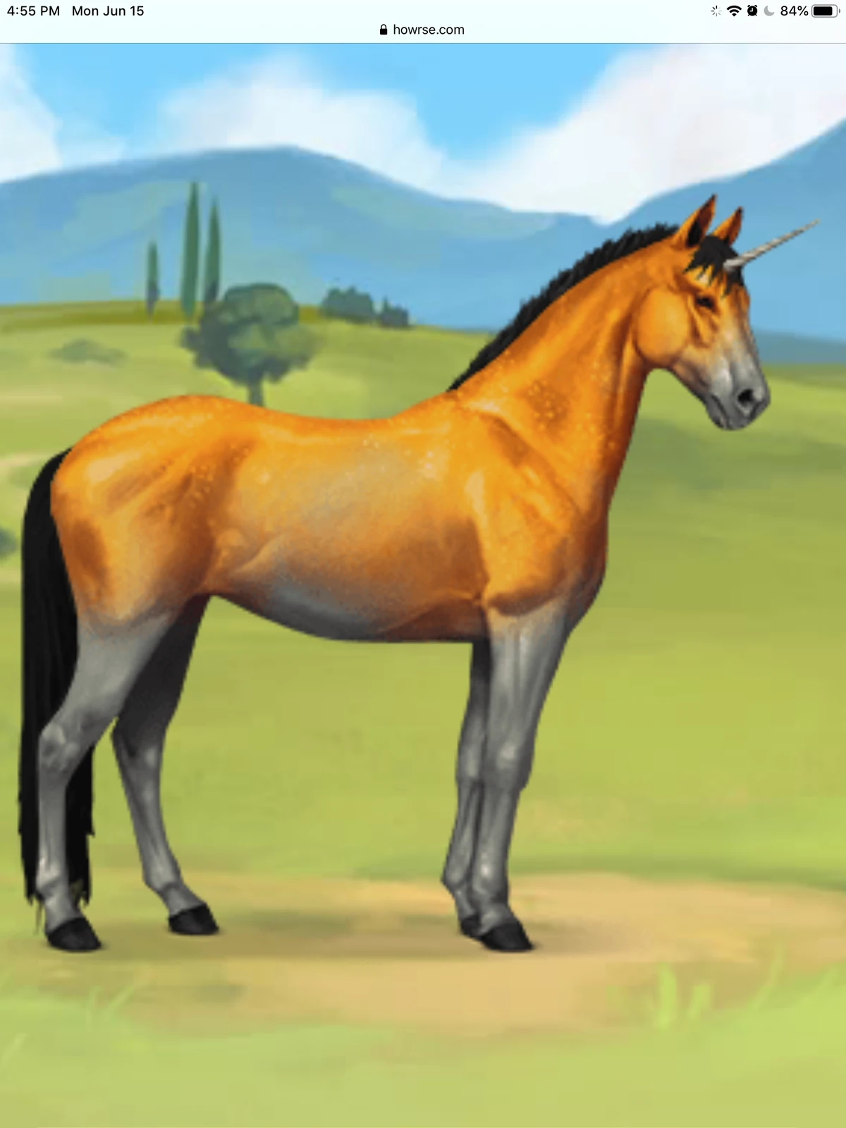 Iris’s Coat | Howrse Wiki | Fandom