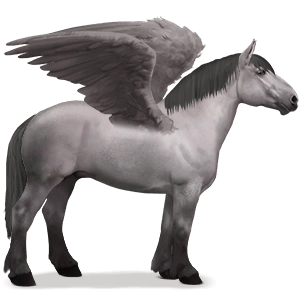 Pegasus-Kaltblut | Howrse-Wiki | Fandom