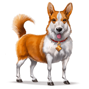 Hauspferde | Howrse-Wiki | Fandom