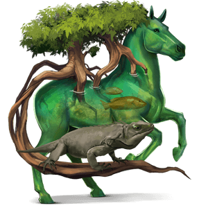 Mangrove | Howrse-Wiki | Fandom