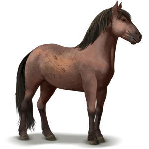 Banker Horse | Howrse-Wiki | Fandom
