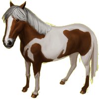 Stalltiere | Howrse-Wiki | Fandom