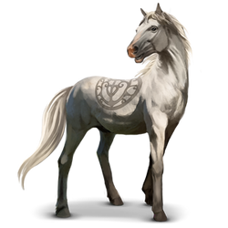 Pferd | Howrse-Wiki | Fandom