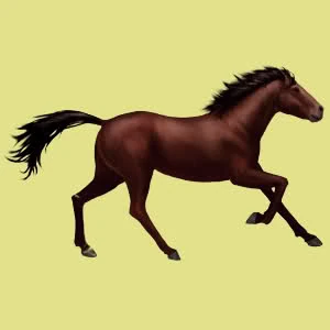 Mustang | Howrse-Wiki | Fandom