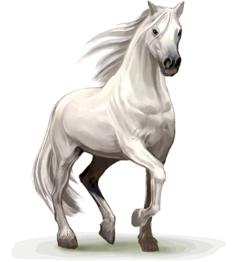 Howrse-Wiki:Portal | Howrse-Wiki | Fandom