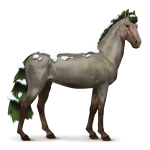 Winter | Howrse-Wiki | Fandom