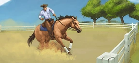 Reining | Howrse-Wiki | Fandom