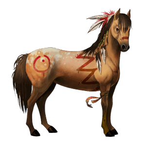 Cochise | Howrse-Wiki | Fandom