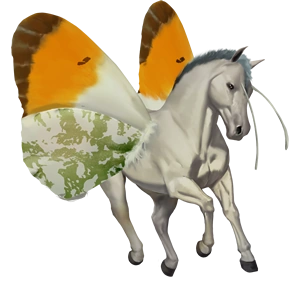 Aurora | Howrse-Wiki | Fandom