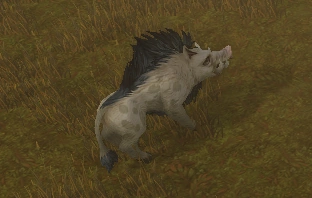 Wild Boar | Hsrncll Wiki | Fandom