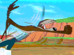 Road Runner Gif