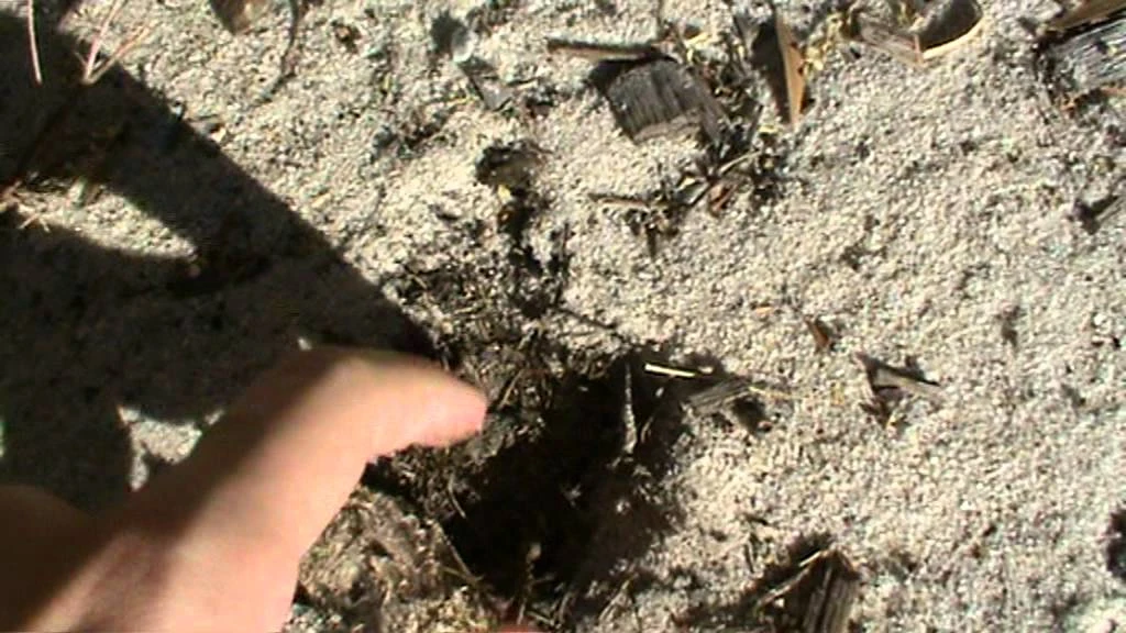 How To Dig a Hole with your Finger | HowToBasic Wiki | Fandom
