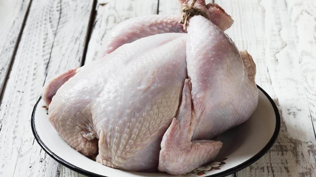 How to Quickly Defrost a Turkey | HowToBasic Wiki | Fandom