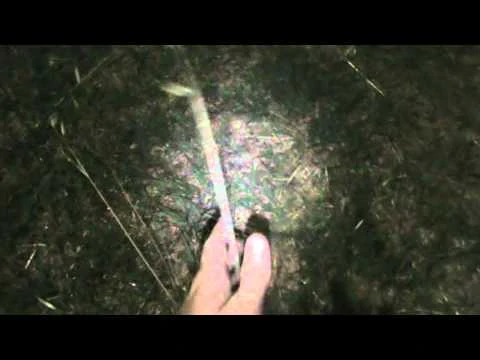 How To Pluck a Weed | HowToBasic Wiki | Fandom