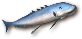 Fish | How to Train Your Dragon Wiki | Fandom