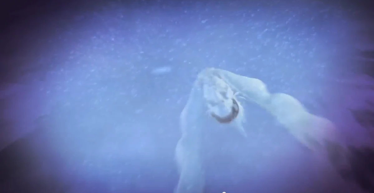 User blog:Neilandio/Is it safe to say this is a Snow Wraith? | How to ...