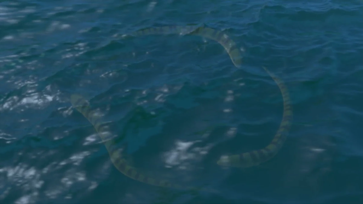 Gallery: Eel / Dragons: Rescue Riders | How to Train Your Dragon Wiki ...