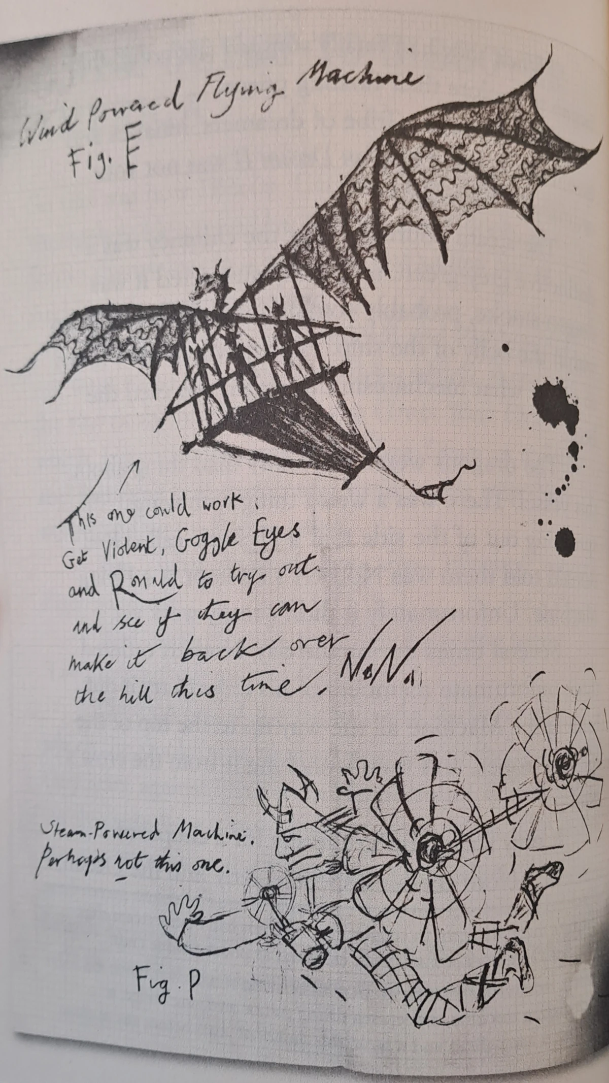 Goggle-Eyes the Gory | How to Train Your Dragon Wiki | Fandom