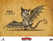 Gallery: Torch | How to Train Your Dragon Wiki | Fandom
