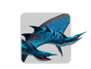 Gallery: Seashocker | How to Train Your Dragon Wiki | Fandom