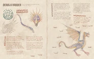 Book of Dragons | How to Train Your Dragon Wiki | Fandom