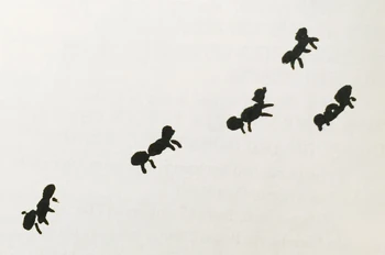 Insect | How to Train Your Dragon Wiki | Fandom