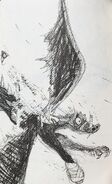 Windwalker | How to Train Your Dragon Wiki | Fandom