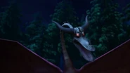Gallery: Typhoomerang / Riders of Berk | How to Train Your Dragon Wiki ...