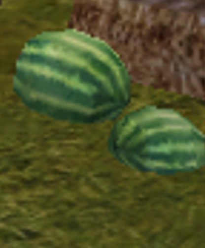 Watermelon | How to Train Your Dragon Wiki | Fandom