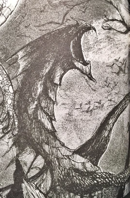 Unknown Dragons | How to Train Your Dragon Wiki | Fandom