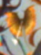 Songwing | How to Train Your Dragon Wiki | Fandom