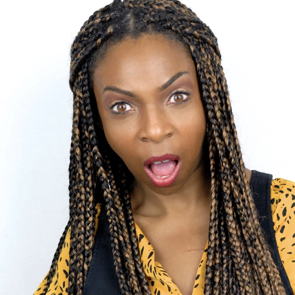 Pavar Snipe | How to Train Your Dragon Wiki | Fandom