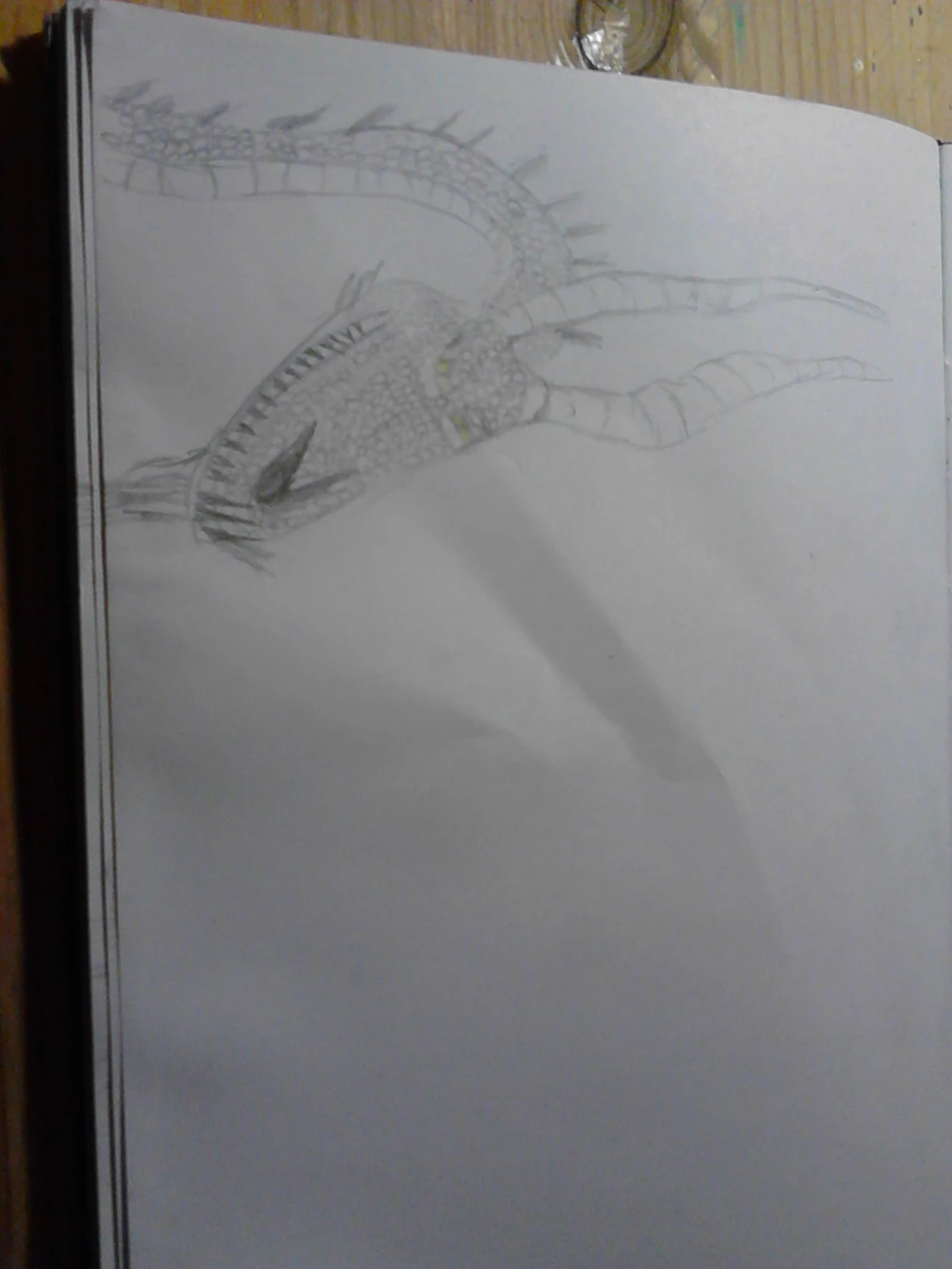 User blog:Thedutchsniper/Drawing the Timberjack | How to Train Your ...