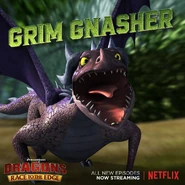 Gallery: Grim Gnasher | How to Train Your Dragon Wiki | Fandom