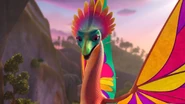 Gallery: Songwing | How to Train Your Dragon Wiki | Fandom