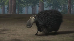 Black Sheep | How to Train Your Dragon Wiki | Fandom