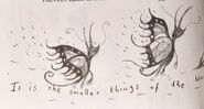 Long-Eared Flutterfire | How to Train Your Dragon Wiki | Fandom