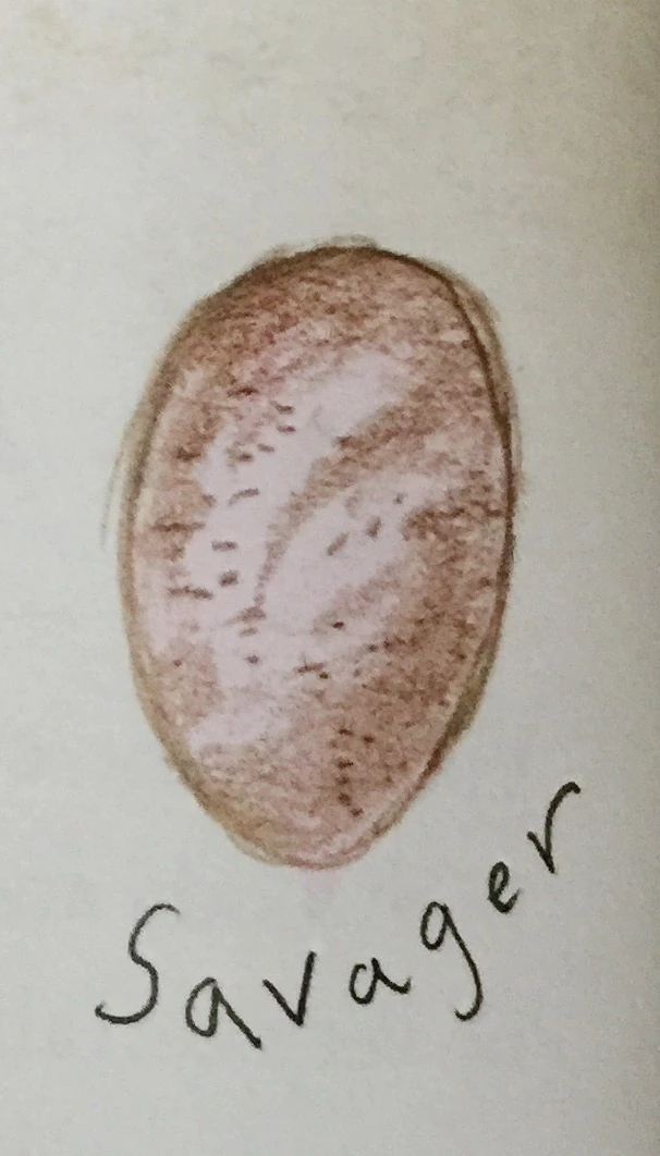 Savager | How to Train Your Dragon Wiki | Fandom