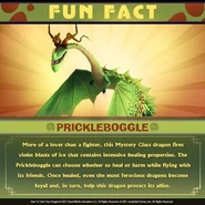Gallery: Prickleboggle | How to Train Your Dragon Wiki | Fandom