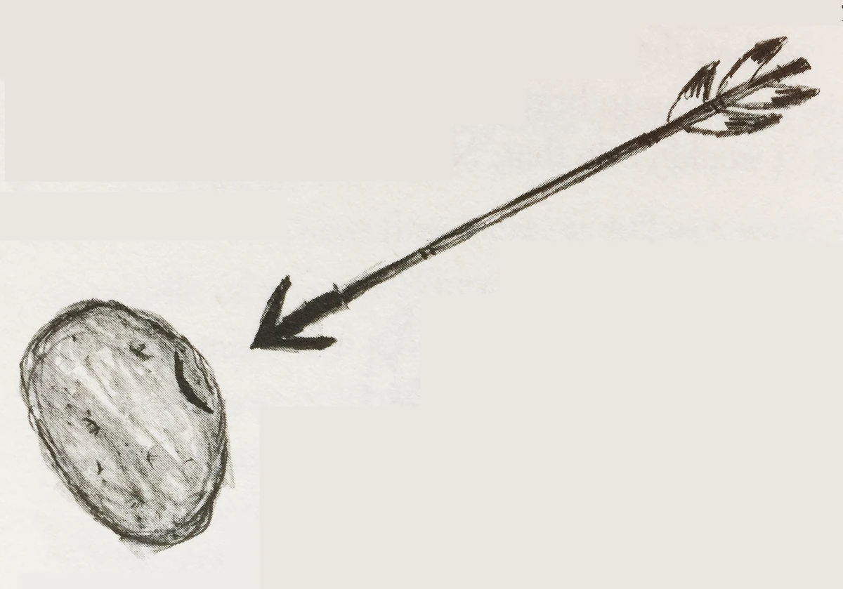 Feather People | How to Train Your Dragon Wiki | Fandom