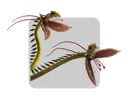 Gallery: Snaptrapper | How to Train Your Dragon Wiki | Fandom