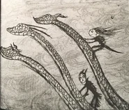 Deadly Shadow | How to Train Your Dragon Wiki | Fandom