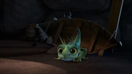 Gallery: Memorazor | How to Train Your Dragon Wiki | Fandom