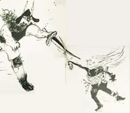 Gallery: Camicazi | How to Train Your Dragon Wiki | Fandom