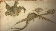Gallery: Windgnasher | How to Train Your Dragon Wiki | Fandom